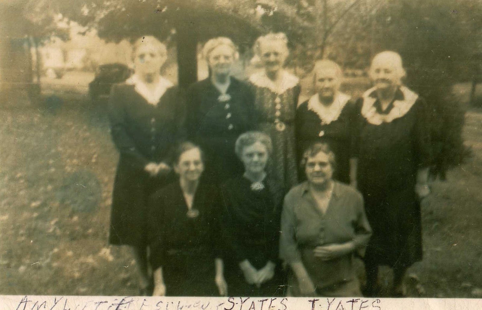 I Dig My Roots and Branches: Amy Susan Floyd Loftis