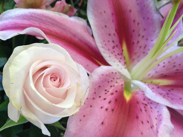 LifeLookLens: Spring, Flowers, & Grumpy Day Grouchiness