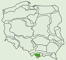 Grupy etniczne w Polsce: Na pierwszy ogień...