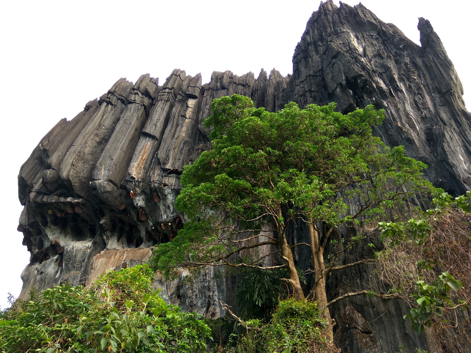 Backpack Trip to Yana Caves and Camping at Gokarna