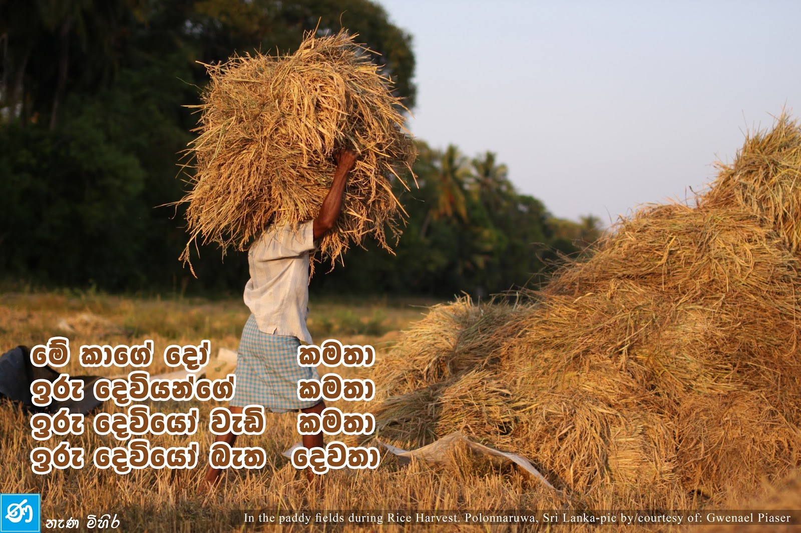 හිම අහුරු: අපෙන් ඈත් වී යන සොඳුරු රසවින්දනය - ජන කවි..