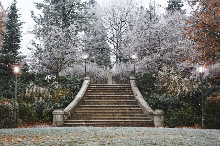 Roper Family Blog Spot