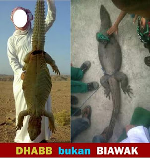 DHABB = HALAL , BIAWAK = HARAM lihatlah perbedaannya! | Pengetahuan Umun