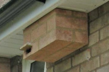 Action for Swifts: Swift nest box entrances
