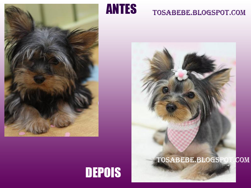 TOSA BEBÊ - TOSA VERÃO - TOSA TESOURA -TOSA PORTO ALEGRE: TOSA BEBÊ ...