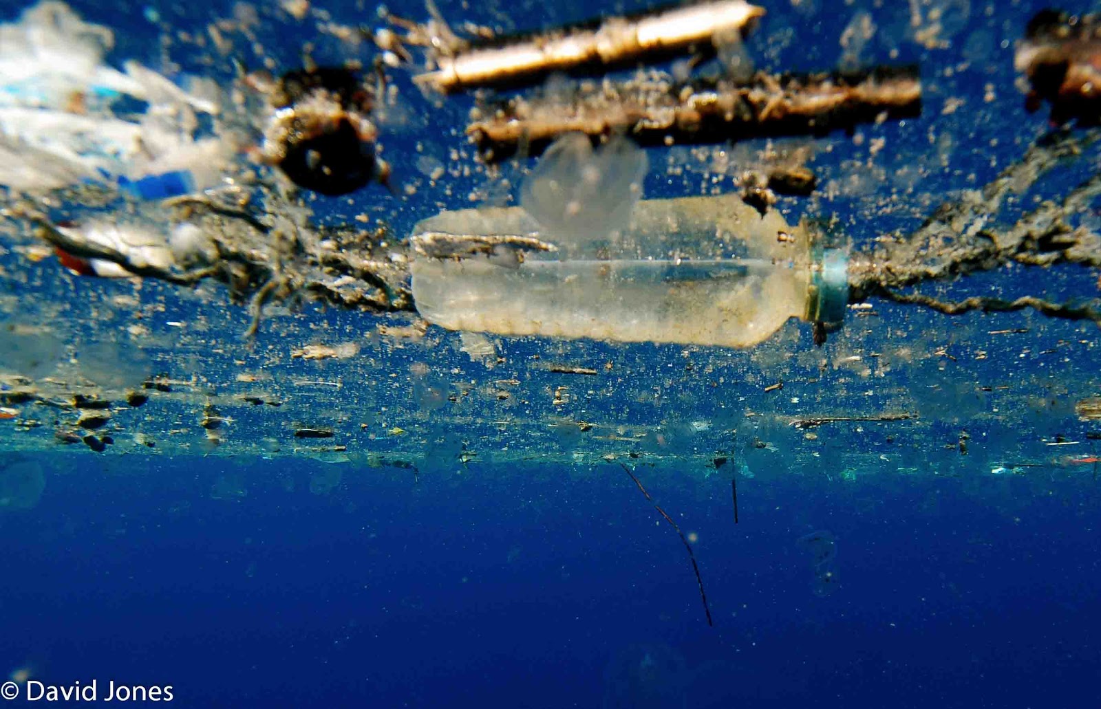 IL MONDO È SOMMERSO DALLA PLASTICA, RIDIMENSIONIAMONE LA PRODUZIONE CON ...