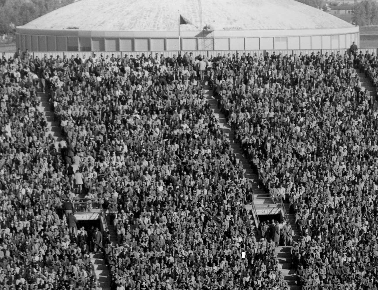 The Wearing Of the Green (and Gold): June 2013