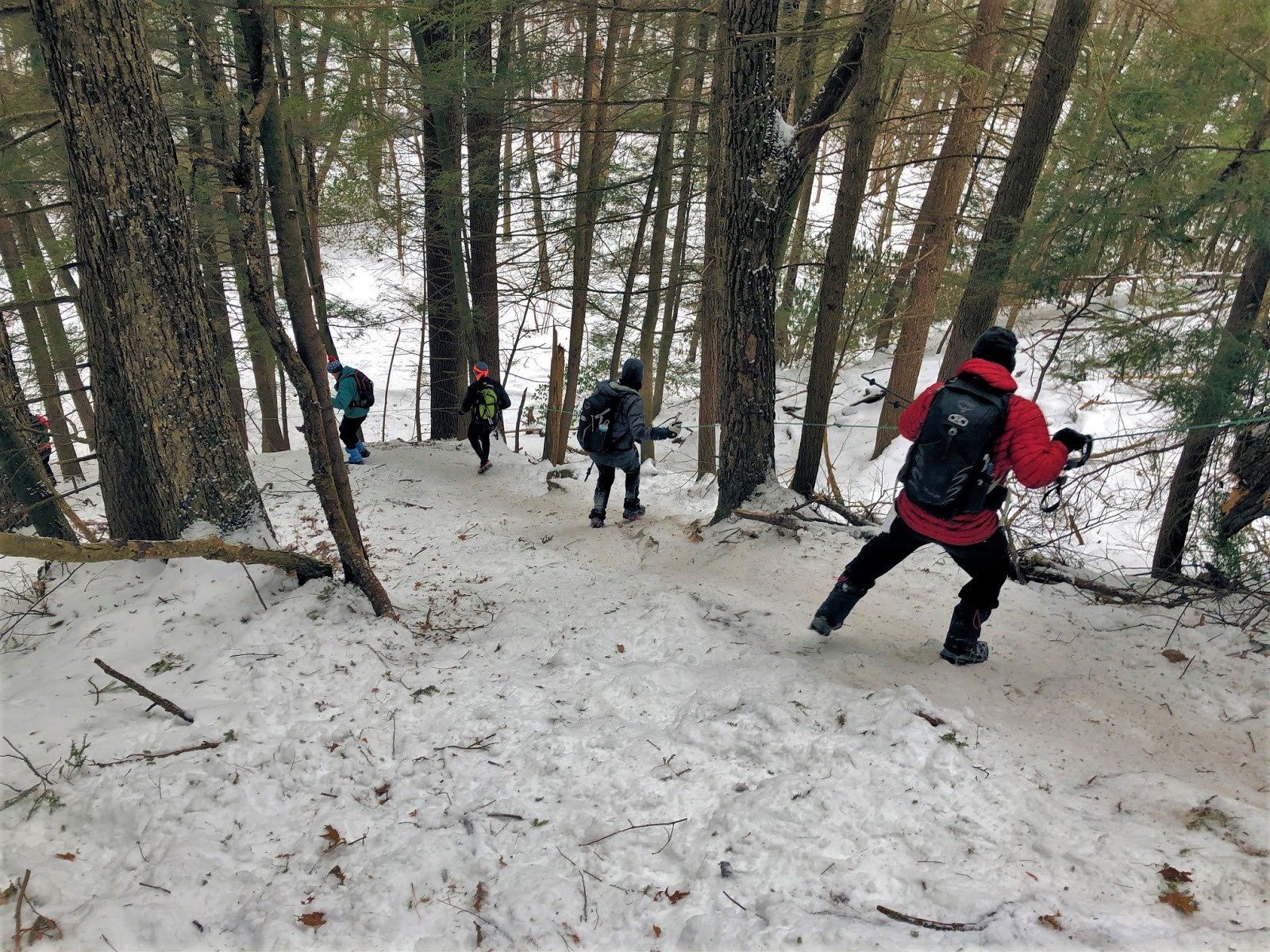 Dry heaving my way to a finish at "The Frozen Snot" : r/running