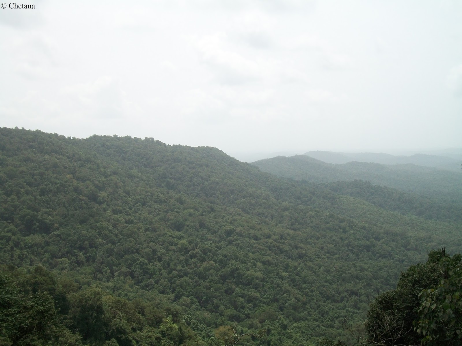 Prayanika - The Journey *******: Devimane Ghat - Beautiful Curvy Ghat ...