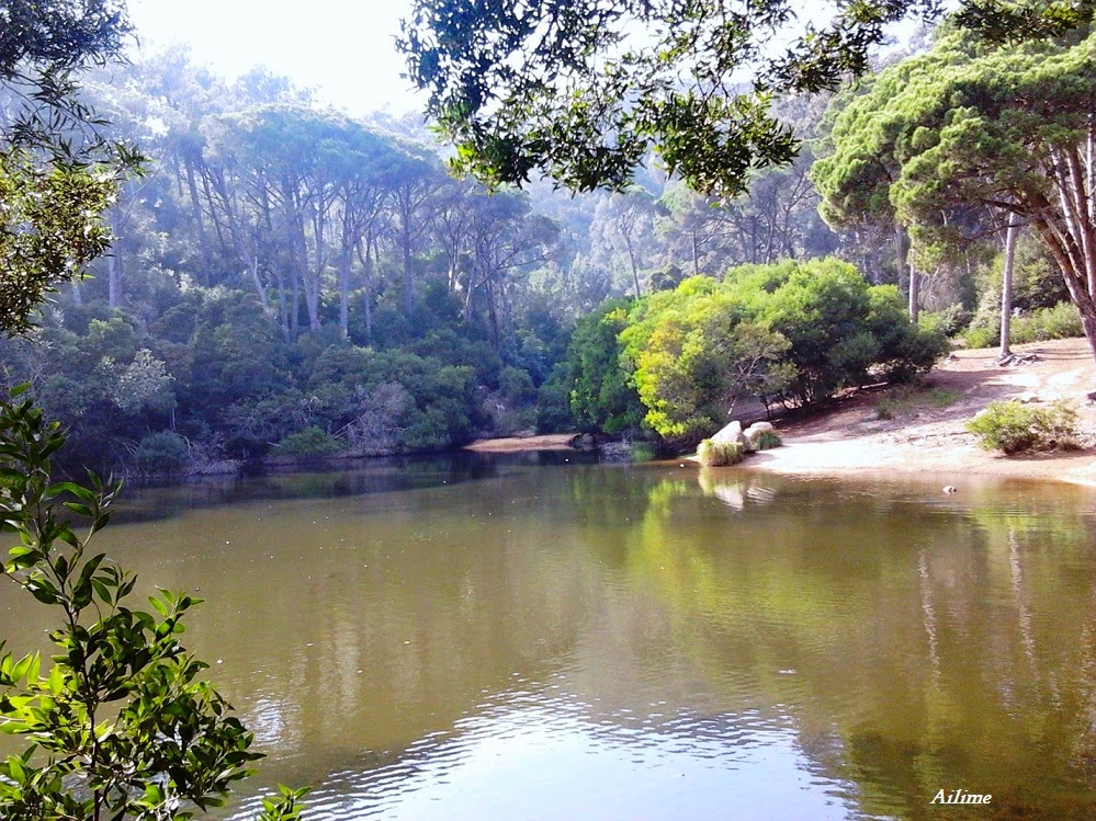 Sinais...de esperança : Natureza e outono