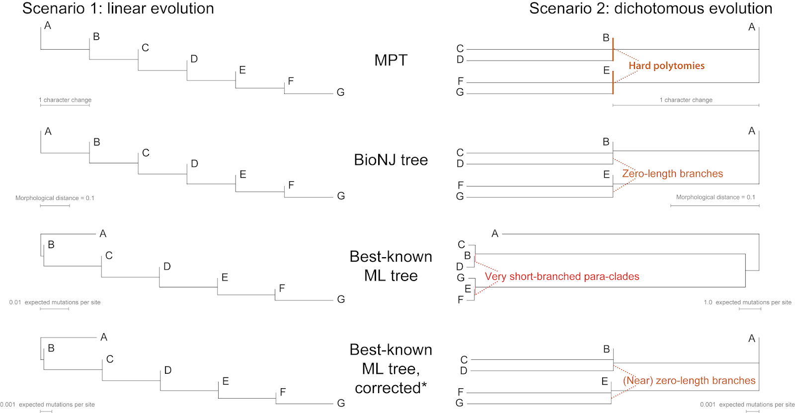 The Genealogical World of Phylogenetic Networks: Trivial data, but not ...
