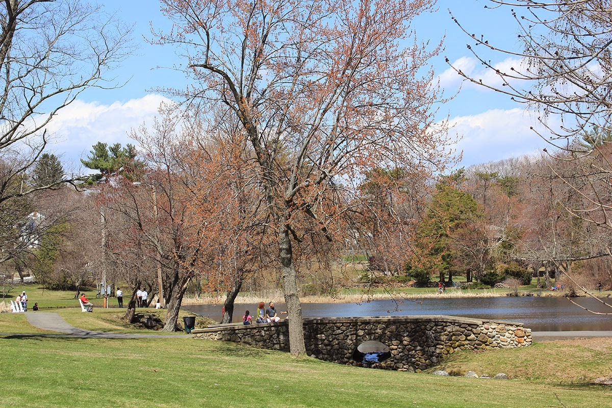 Waterbury Thoughts: Springtime at Fulton Park