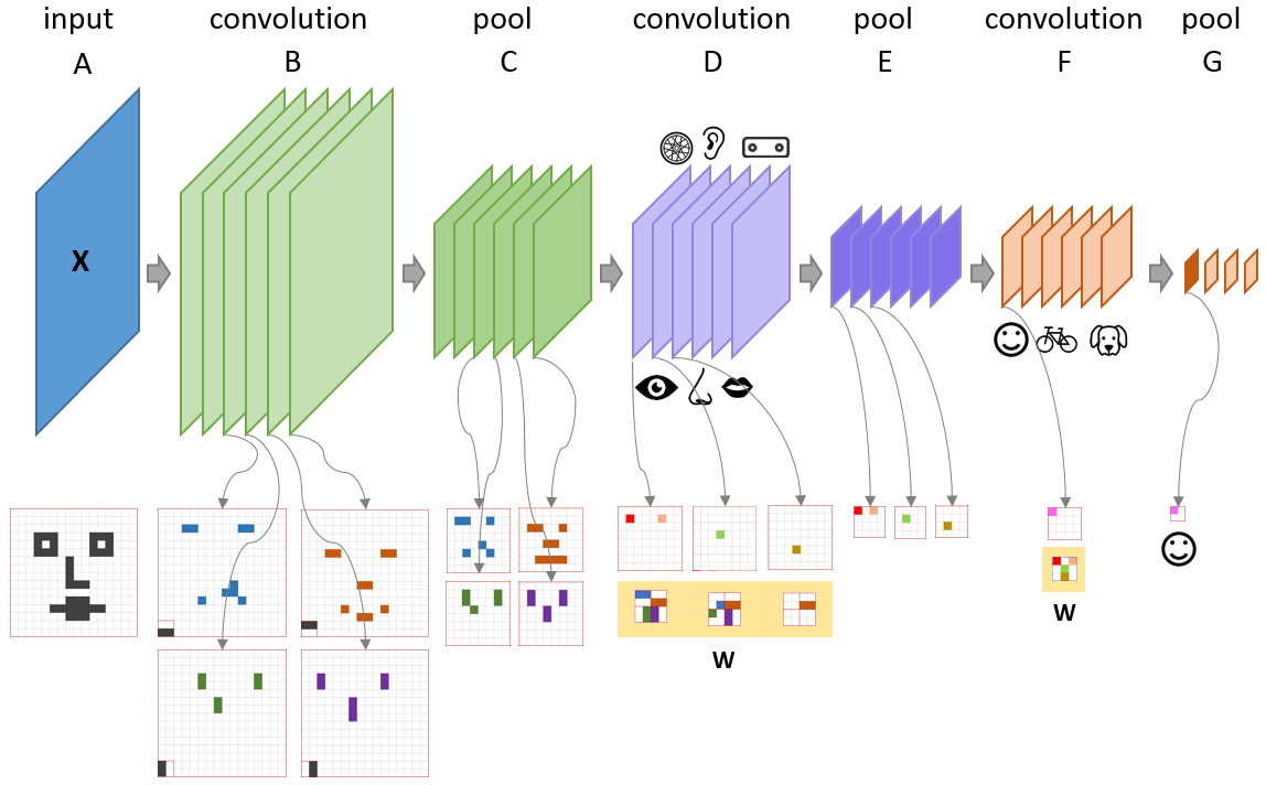 Sciency Stuff: Convolutional Neural Network (CNN)