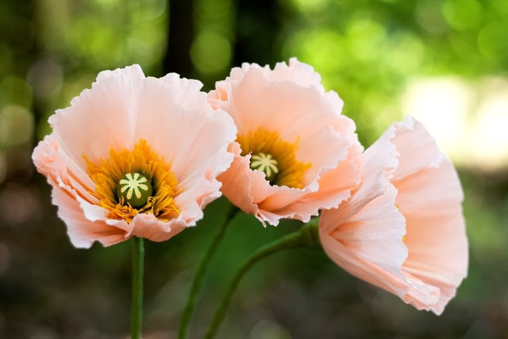 Details Of Elegance: Boda en Color Durazno