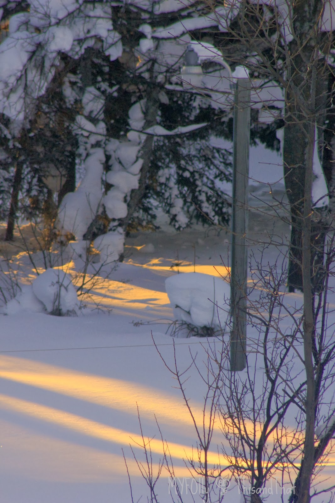 This and that: Sun Streaks in the Snow