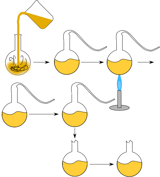O experimento de Louis Pasteur. | Bio Nota 10