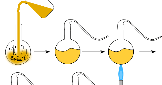O experimento de Louis Pasteur. | Bio Nota 10