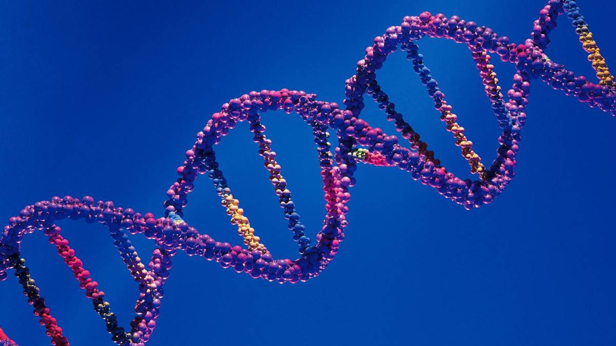 Características genéticas