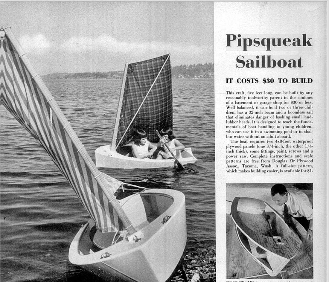 Earwigoagin: The Pipsqueak - A 5-Footer from the Douglas Fir Association