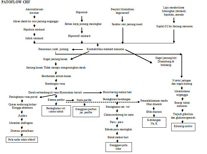 PATOFLOW: PATOFLOW CHF