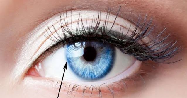 Optometry: LIMBUS:- Definition