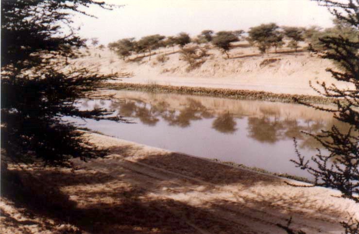 Moving in Sand and Time : IGNP Canal in Rajasthan: Experiences of People