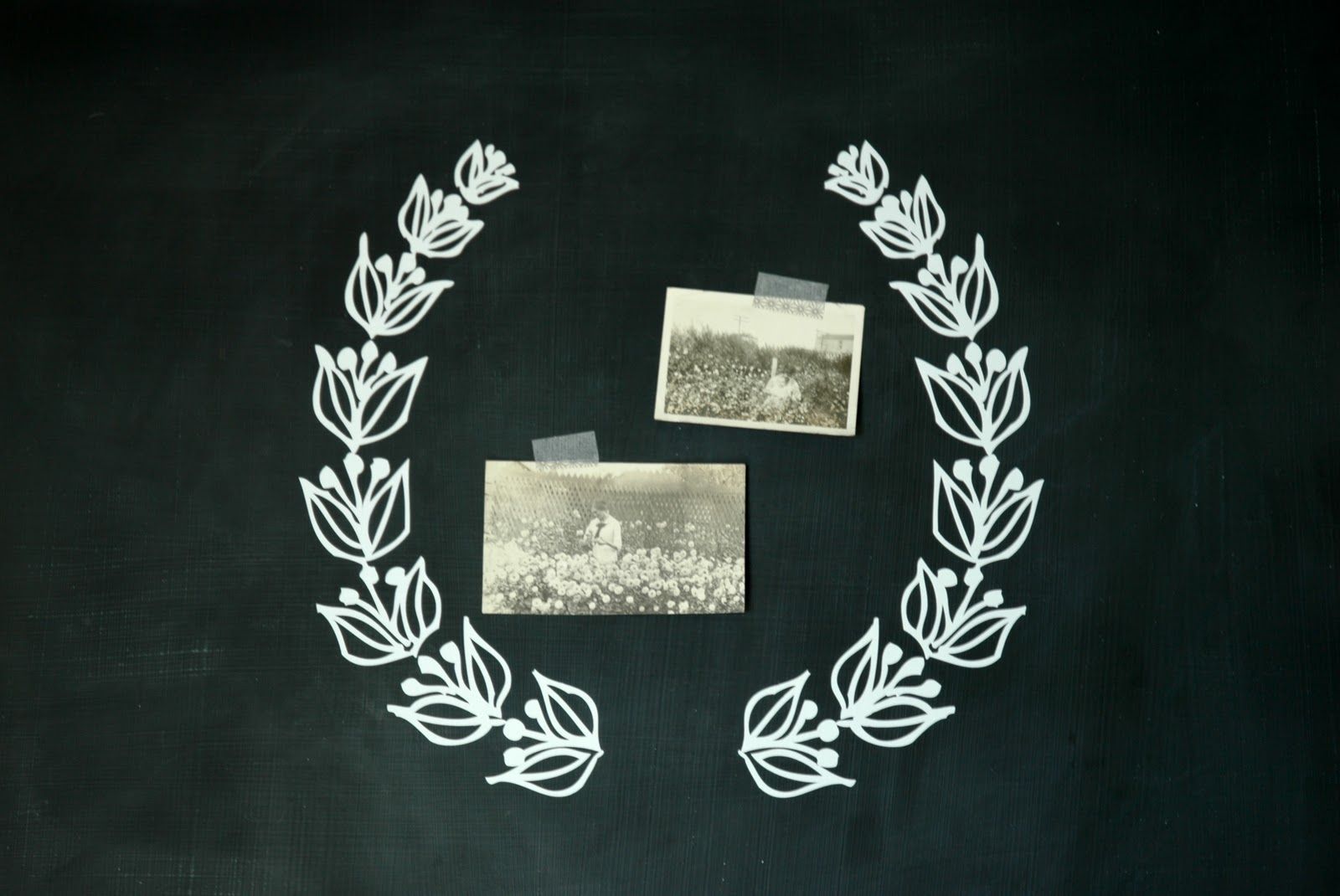 In the shop this week: Shanna Murray wall stickers - typicaldaytoday