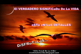 "ViVe FeLiZ De La ViDa": *eL VeRDaDeRo SiGNiFiCaDo De La ViDa