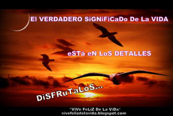 "ViVe FeLiZ De La ViDa": *eL VeRDaDeRo SiGNiFiCaDo De La ViDa