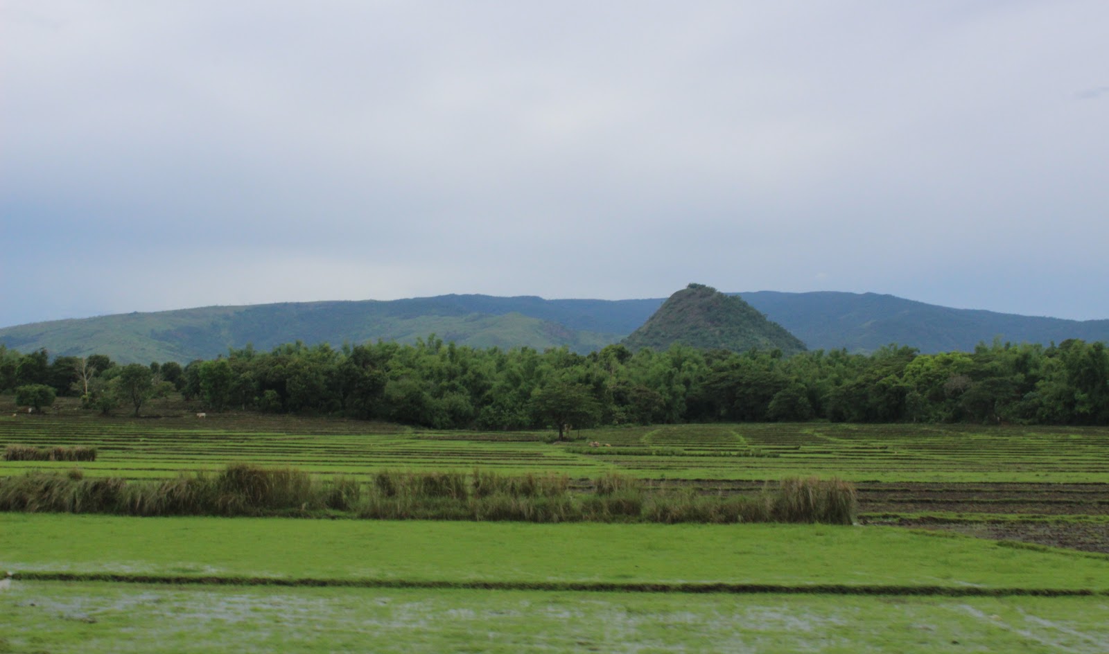 LEXICAL CROWN: STOP OVER IN CAMILING TOWN OF TARLAC