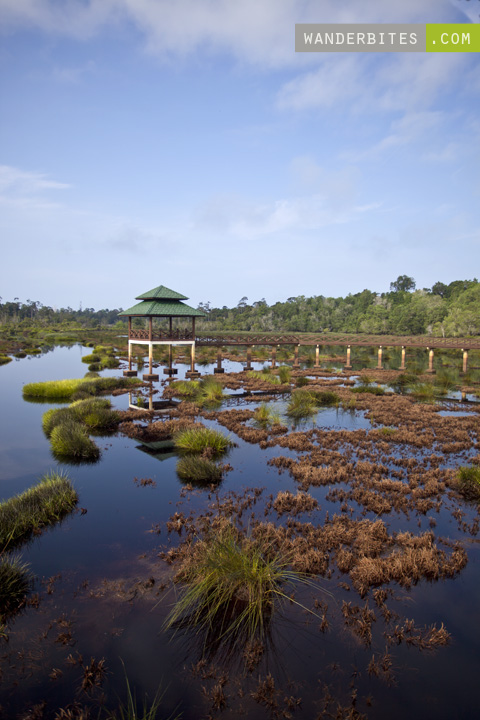 WANDERBITES! : Food Blog with Stories of Travel, Culinary Hits and ...