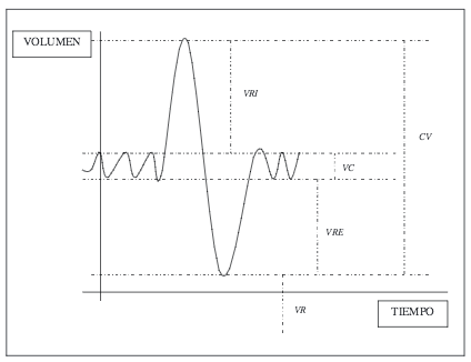 Laboratorio Biofísica : Práctica 8 - Espirometría