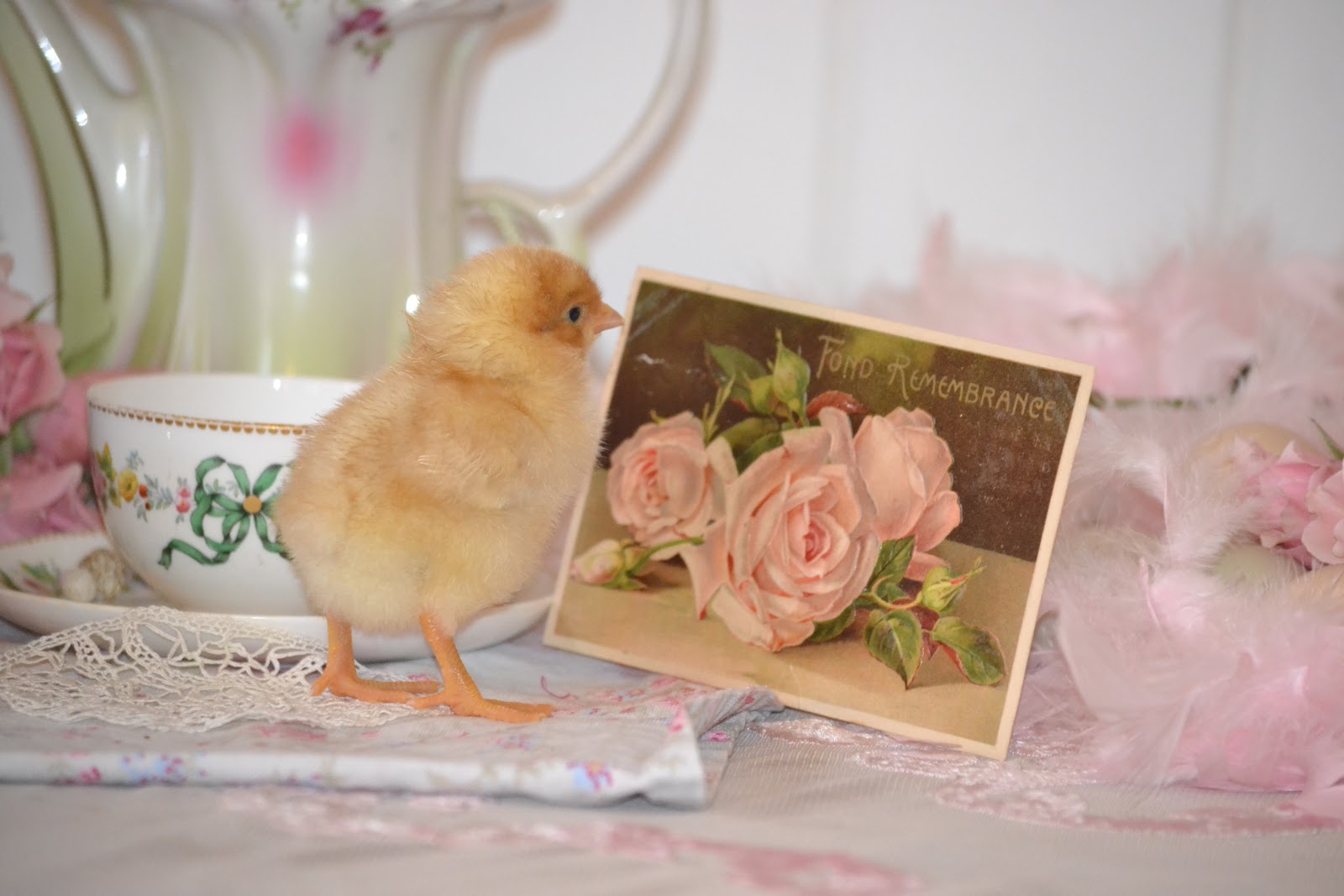 French Blue and Peachy Pink: A Chicken Goes To A Tea Party.....My ...