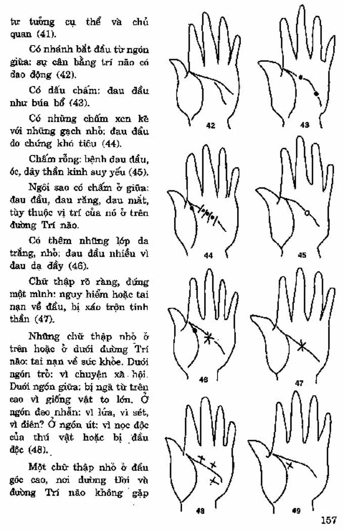 Đường trí đạo | Khoa xem tướng