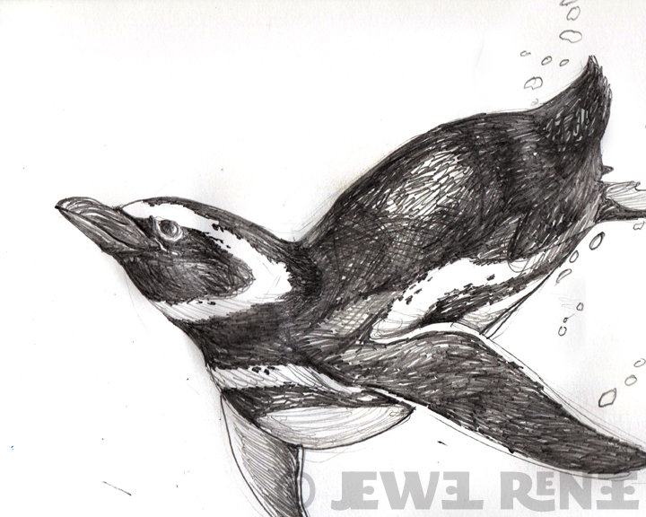 Jewel Renee Illustration: Penguin Pencil Drawing