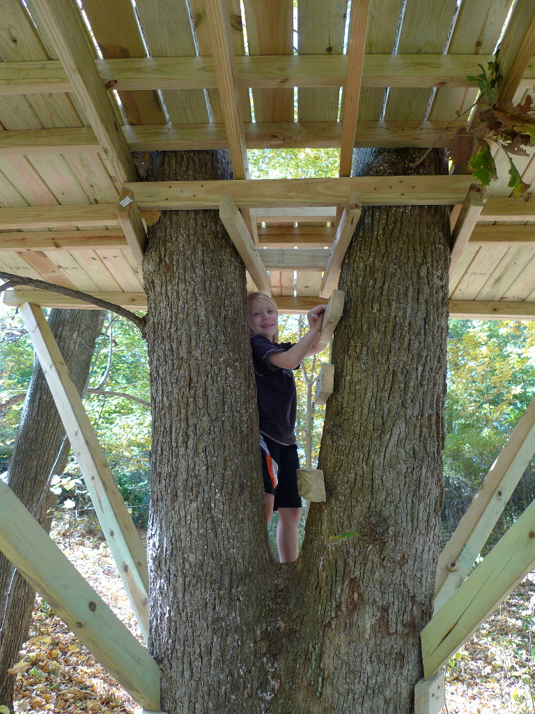 the allen family bermuda triangle: treehouse v. 2.0
