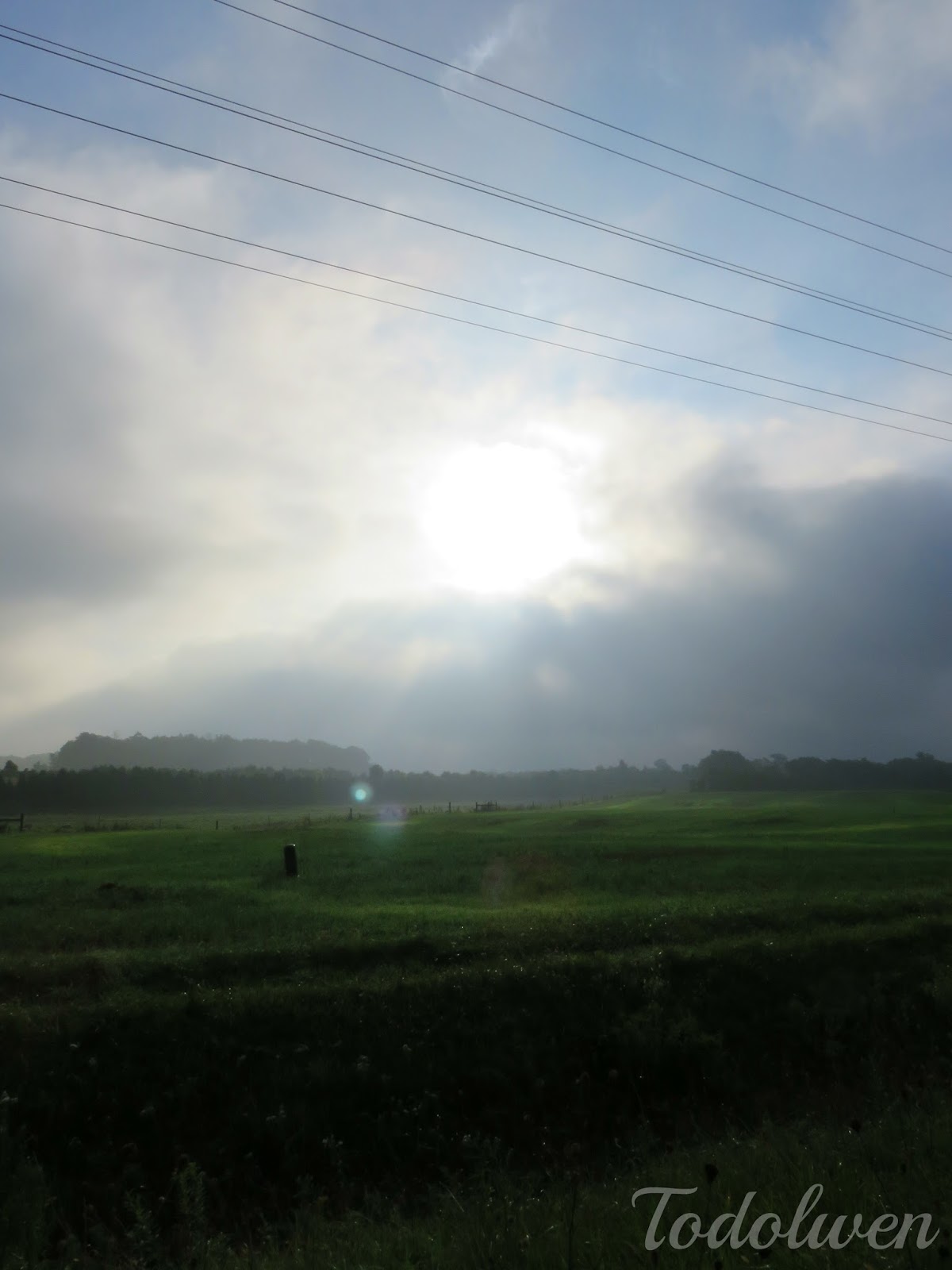 Todolwen: Early Sunday Morning ...