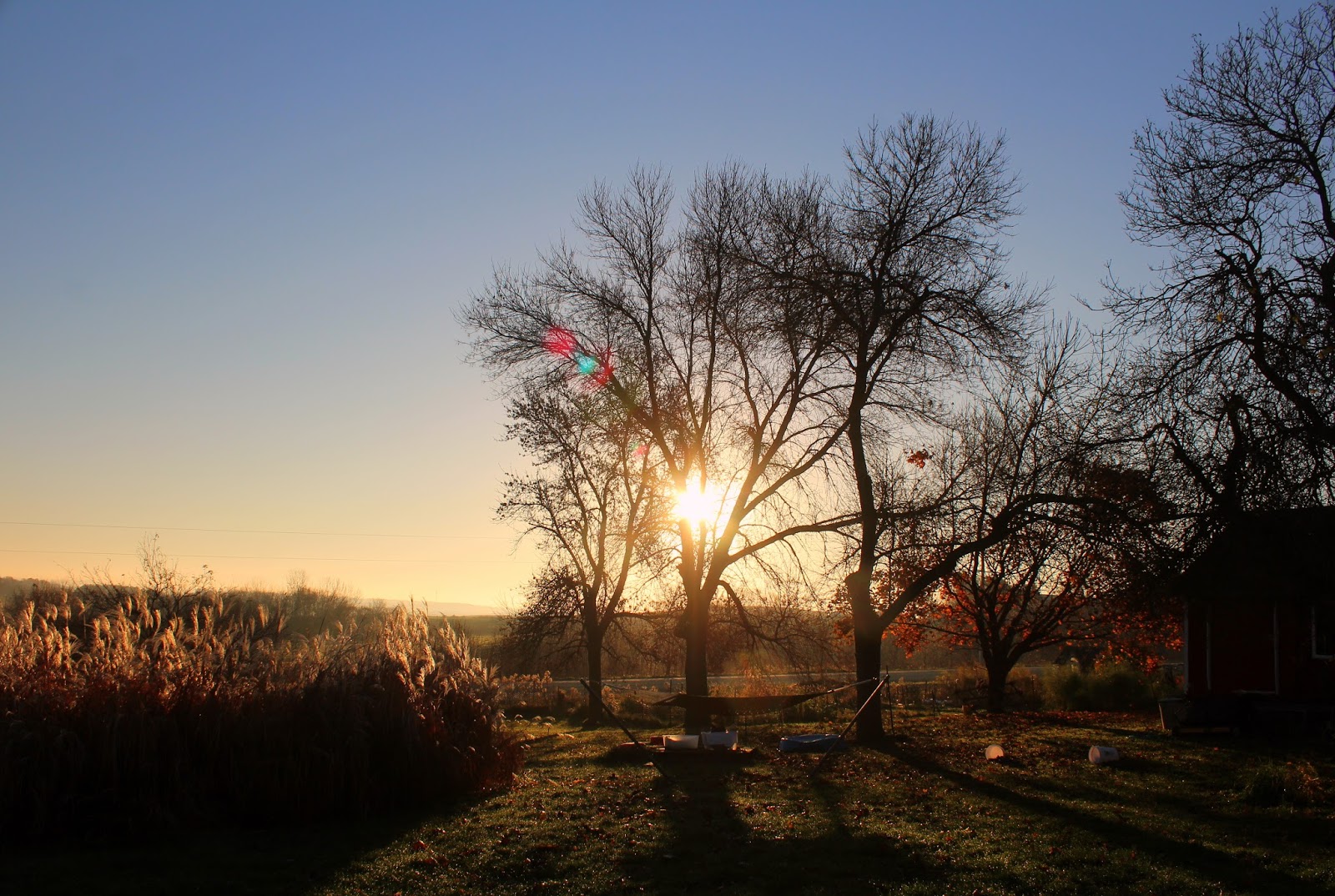 Squash Blossom Farm: Not Your Normal November Morning in Minnesota
