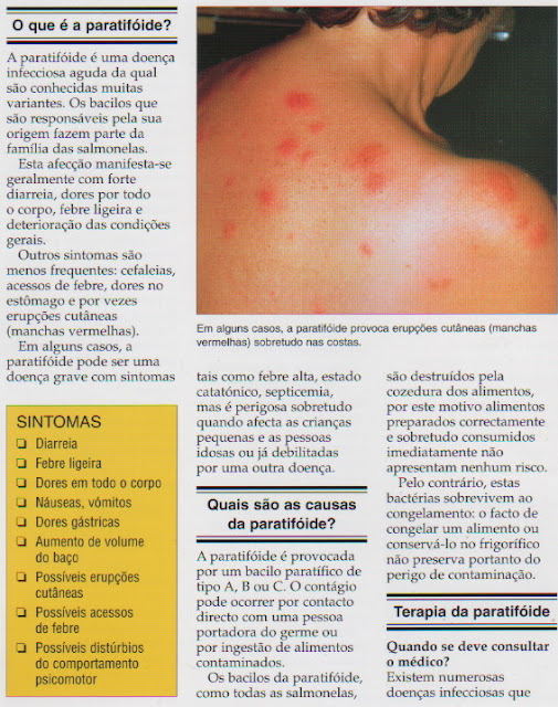 PARATIFÓIDE | A CHAVE DO BEM ESTAR