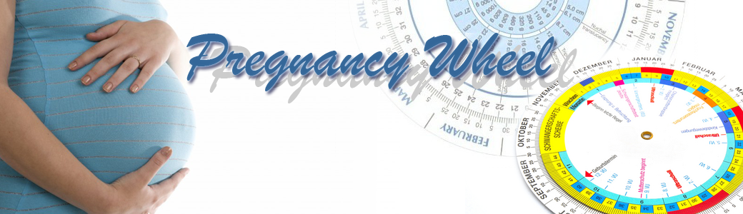 Pregnancy Wheel: How to Control and Treat Pimples During Pregnancy