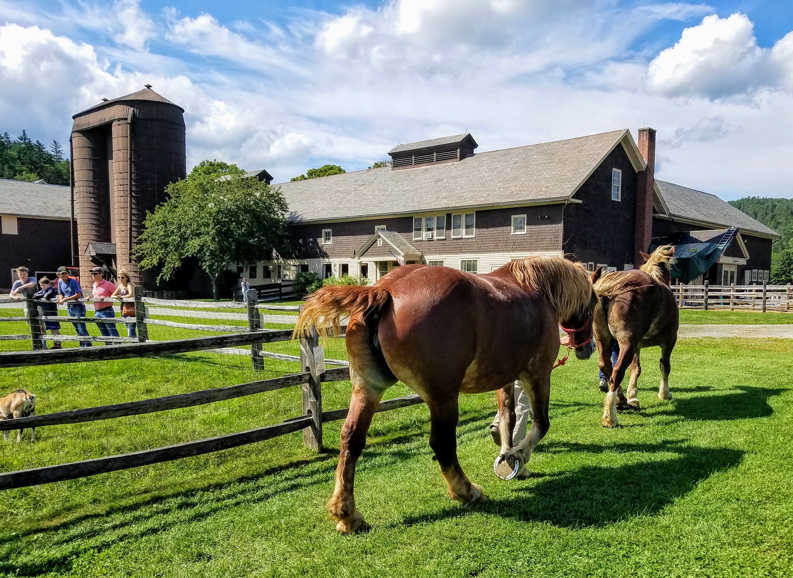 Big Daddy Dave: Billings Farm and Museum – Woodstock Vermont