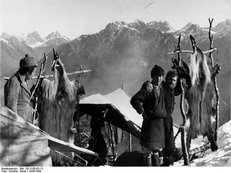 Proud to be a Sikkimese - Sikkim State: Shapi of Sikkim: Our legacy - ii