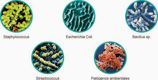 RIESGO BIOLÓGICO: AGENTES BIOLÓGICOS