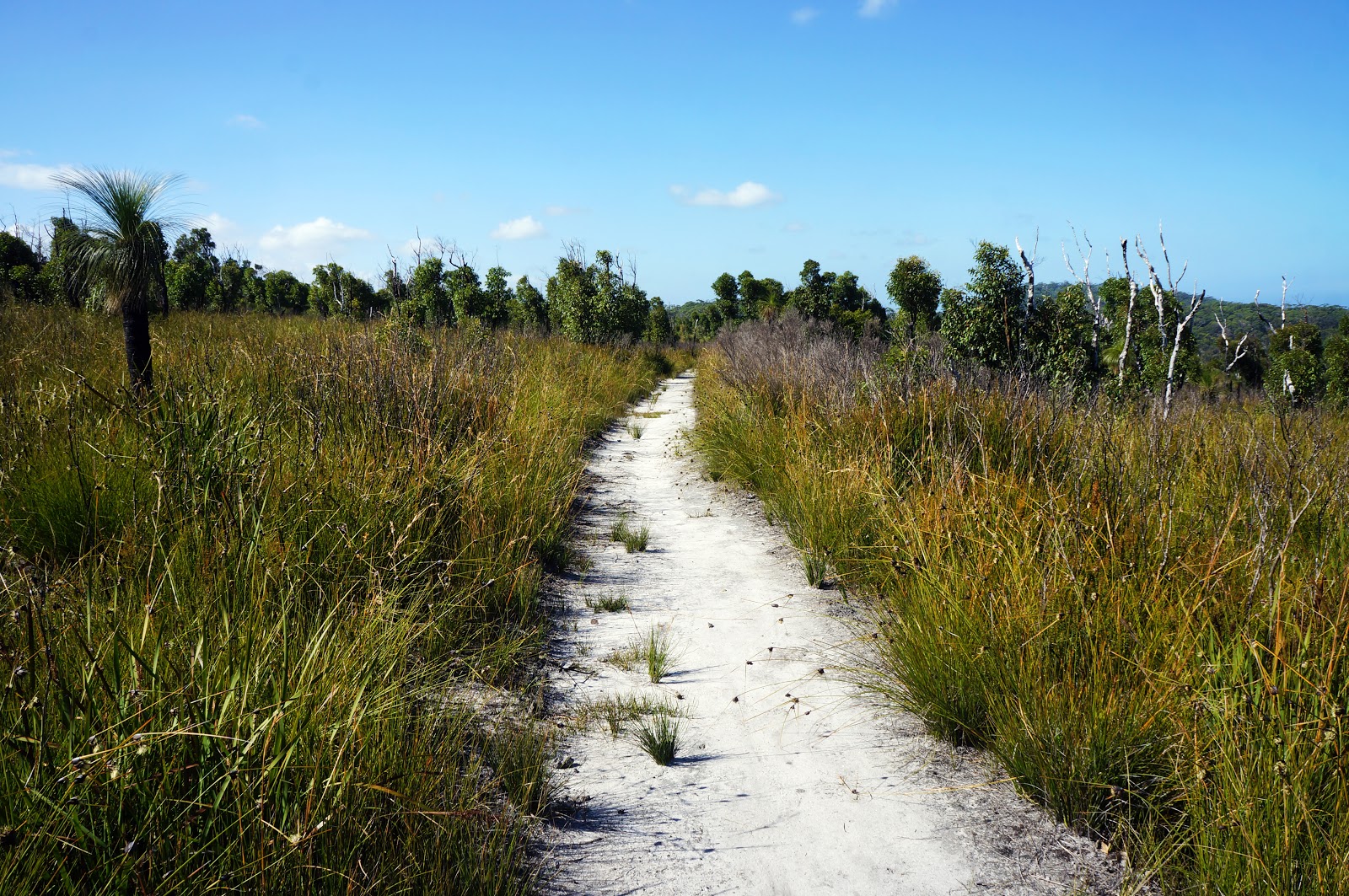 Bibbulmun Track (WA) - Long Point to Walpole ~ The Long Way's Better