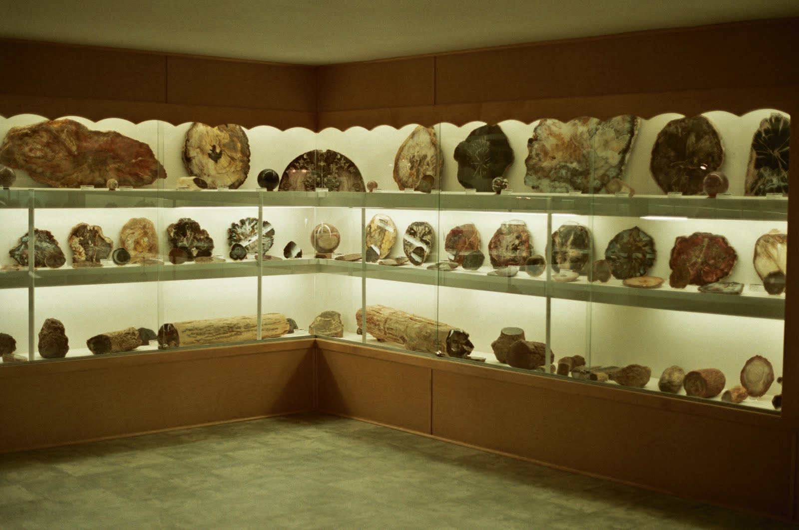 amanda leigh smith: Rice Museum of Rocks & Minerals