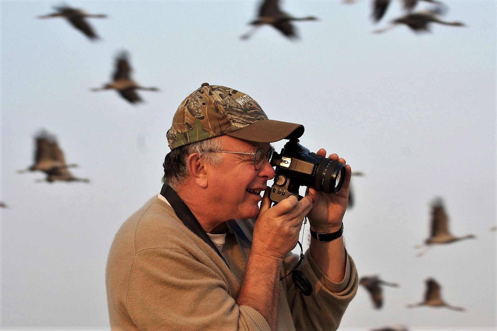 Words on Birds: July 2017