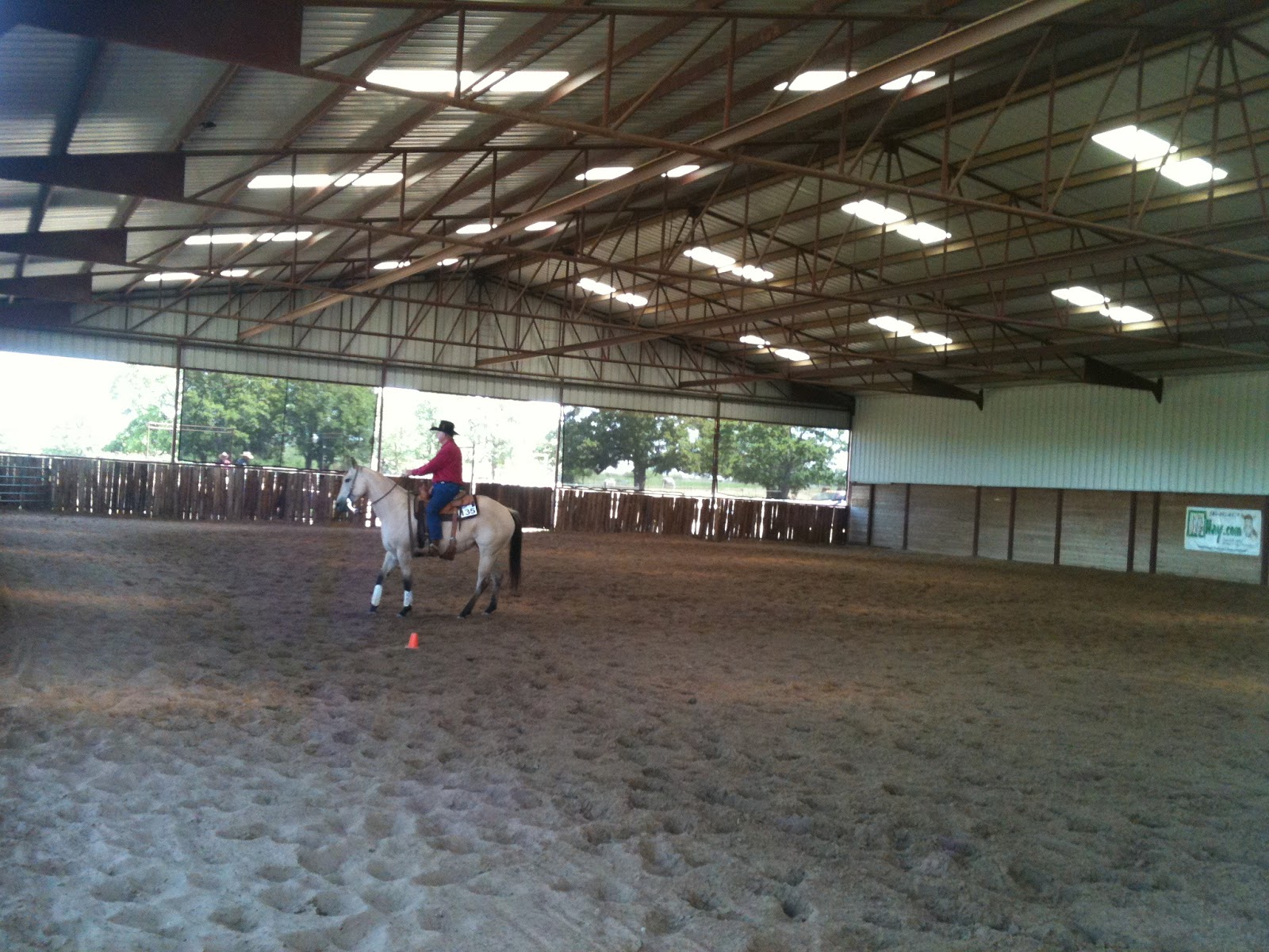Surrey Hills Farm: May Horse Show