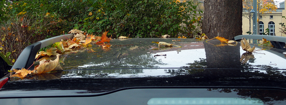 MASSIVE VOODOO: Tutorial: Visualizing Autumn