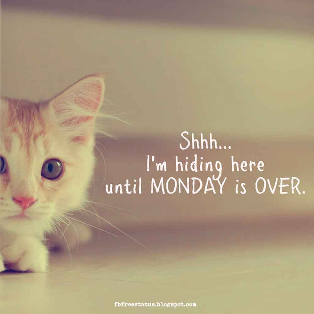 Funny & Inspirational Monday Morning Quotes with Images