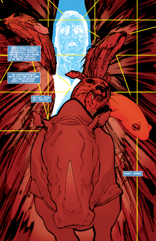 Cape Town Community: DC Releases ‘Animal Man’ #1 Preview